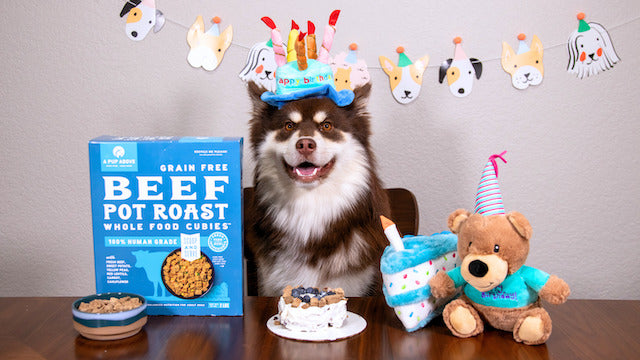 Homemade Dog Birthday Cake Recipe – A Pup Above
