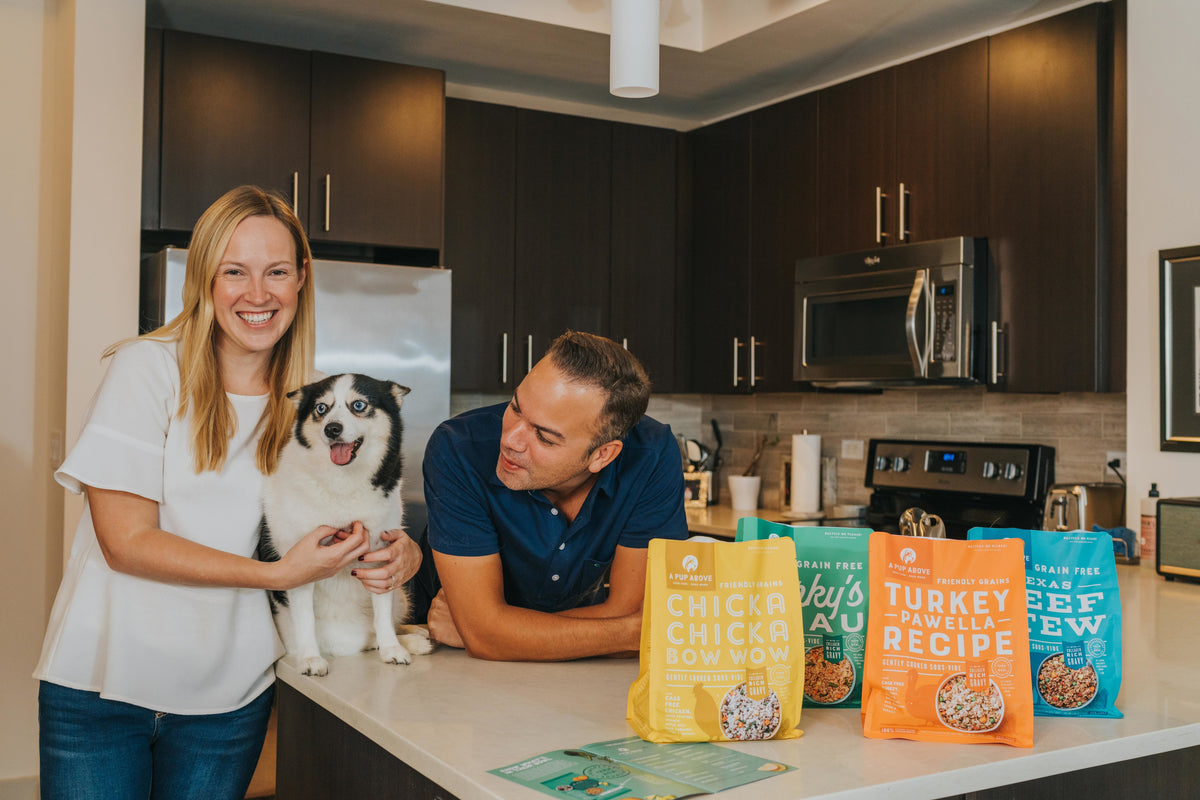 Featured Article: A Tail of Doggie Delight | A Pup Above