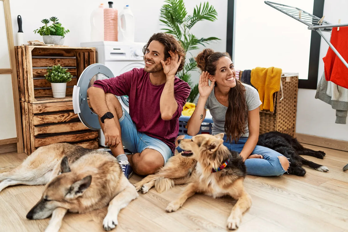 Dogs Sounds: Different Types and Their Meanings – A Pup Above