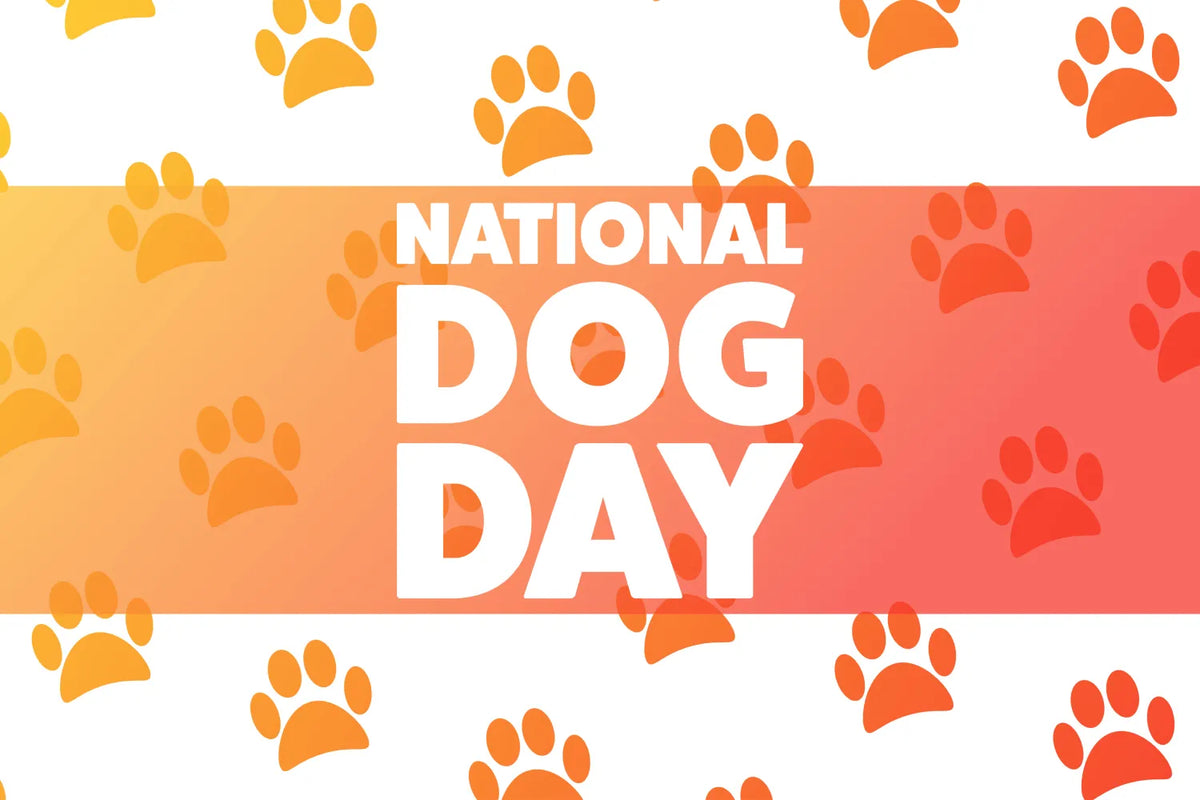 National Dog Day History and Celebration Ideas – A Pup Above