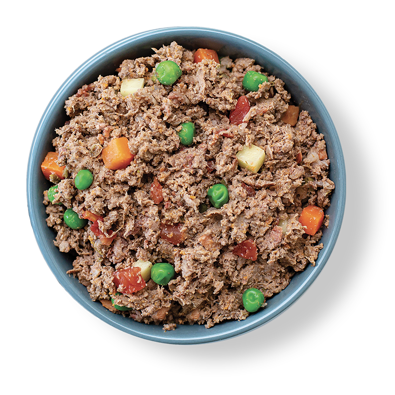 Best Dog Food Without Fillers or Preservatives | A Pup Above