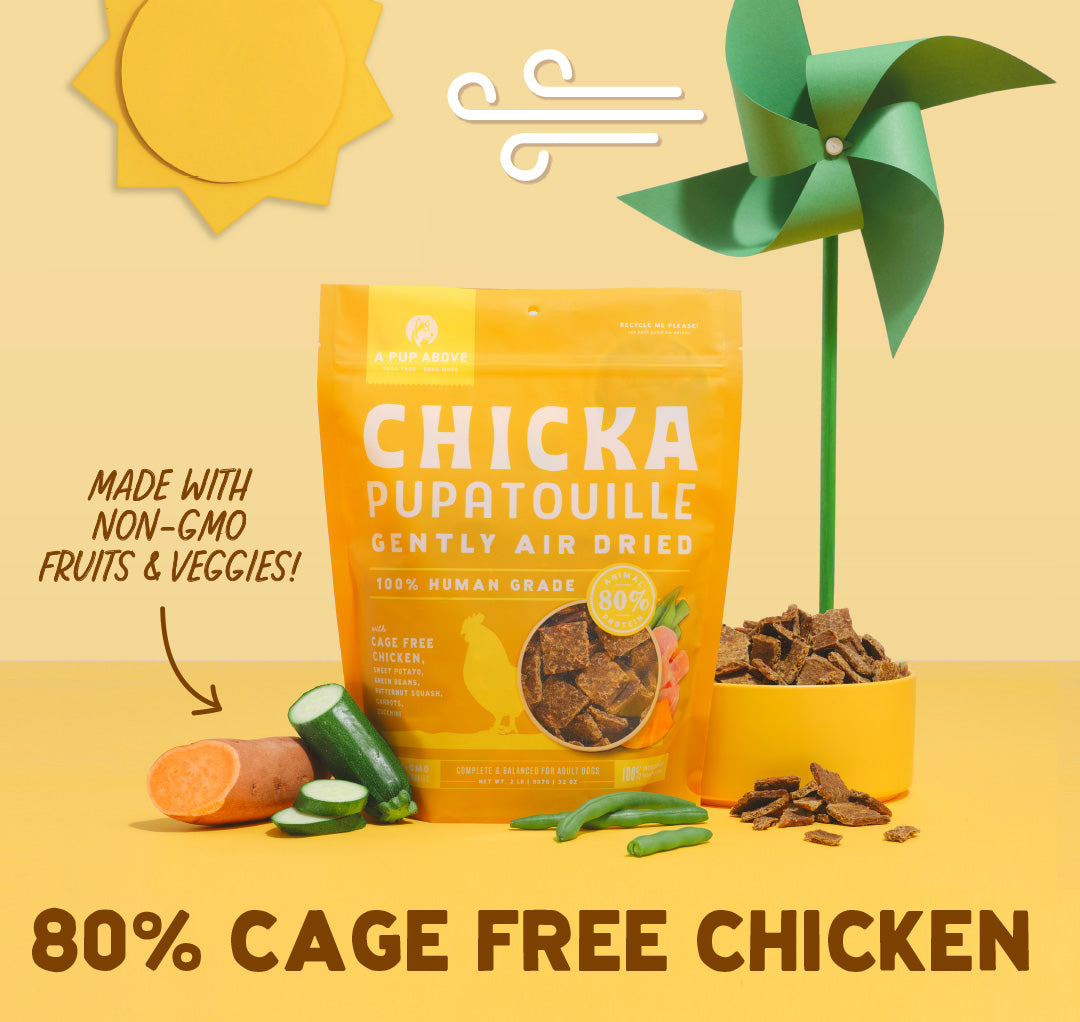 Chicka Pupatouille: Air-Dried Chicken Dog Food | A Pup Above